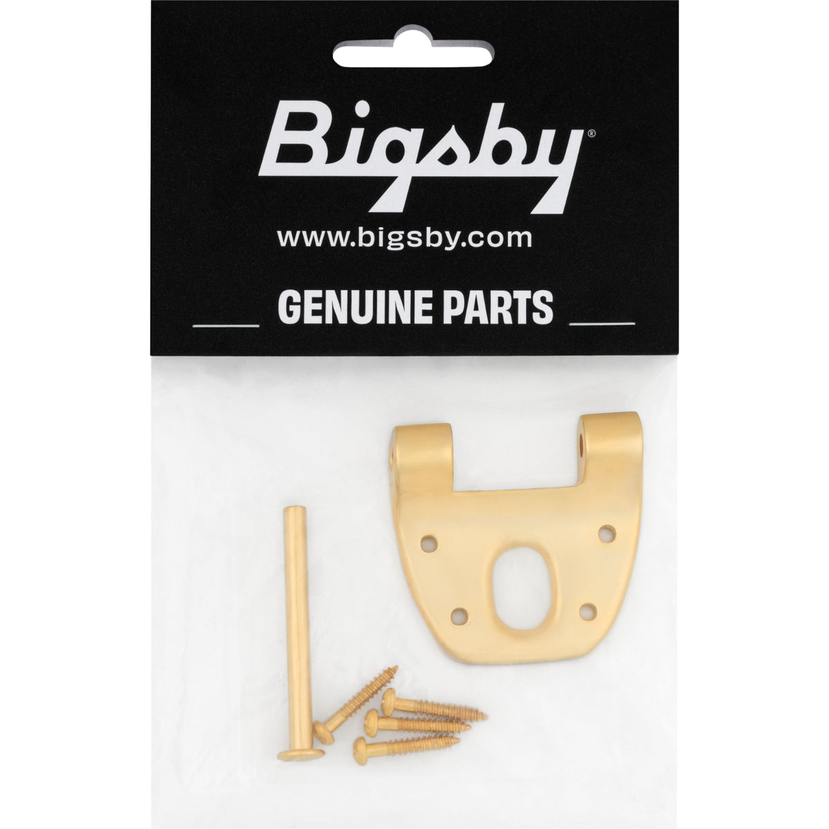 Bigsby Hinge, Ex Short, with Hinge Pin and Screws, Gold | SportHiTech