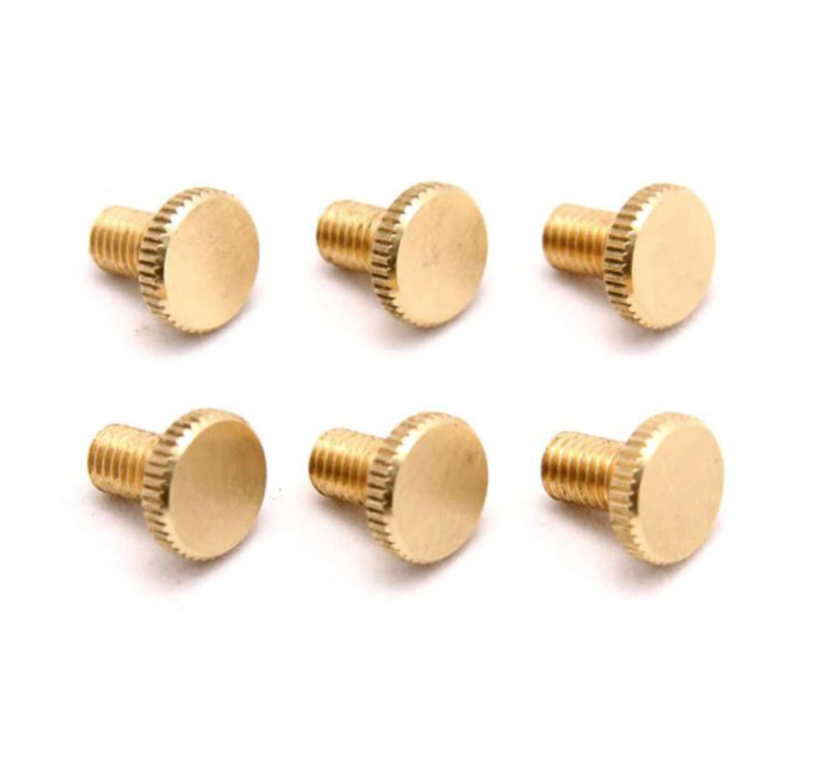 Genuine Floyd Rose Fine Tuning Screws Brass (6) | SportHiTech